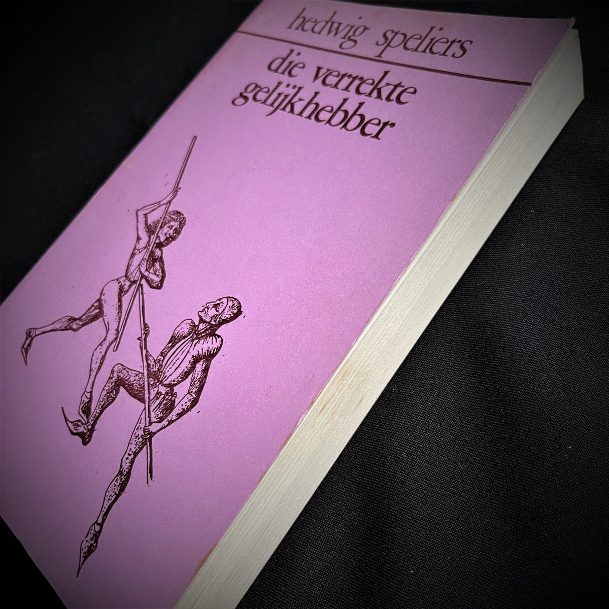 Hedwig Speliers - die verrekte gelijkhebber – Blicero Books